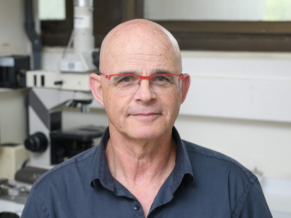Prof. Hanoch Daniel Wagner - Awards and Appointments | Weizmann Wonder Wander - News, Features ...